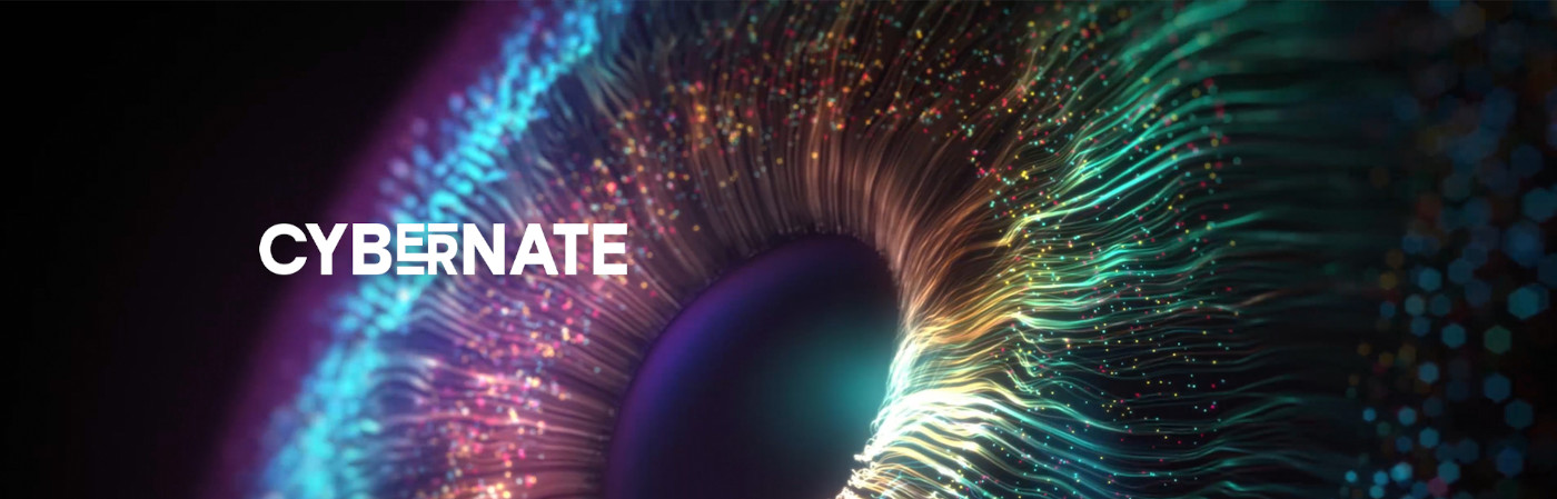 Cybernate: Digital Arts Research Residency (Ireland, France / Online ...