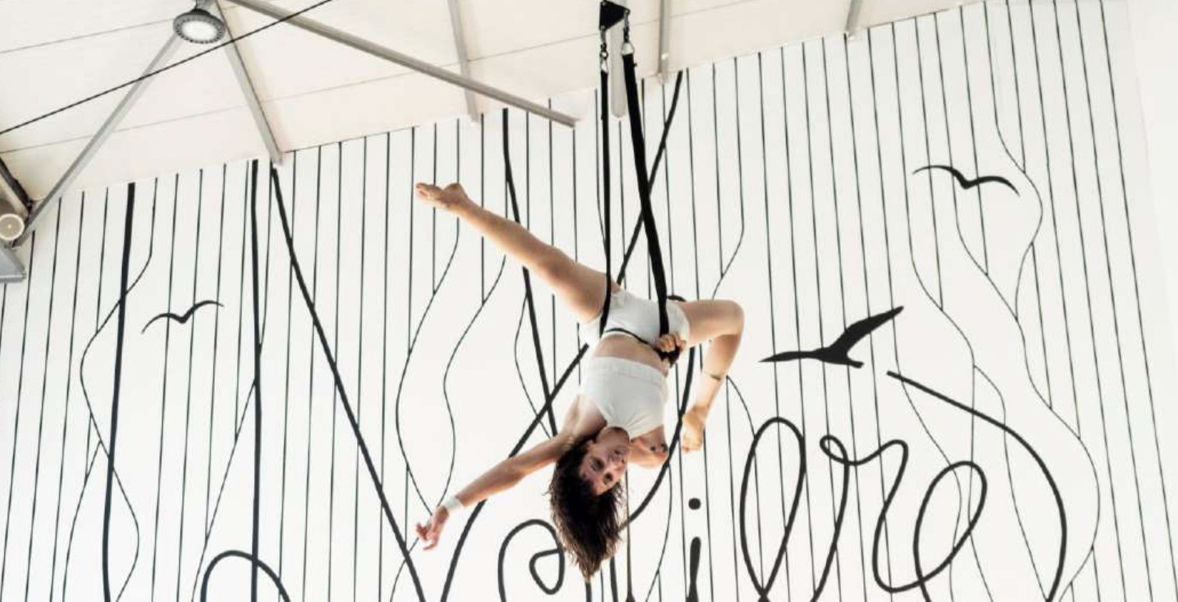 La Volière: Aerial Circus/Aerial Dance Creation Residency (France) | On ...